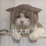 若即若离hl 