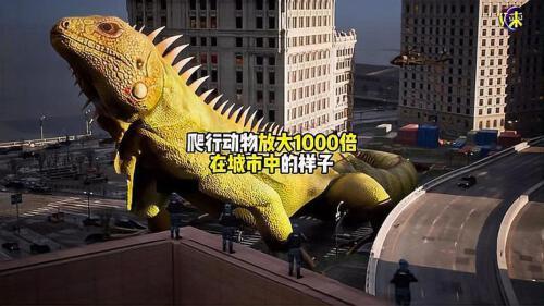 你知道爬行动物放大1000倍在城市中是什么景象吗