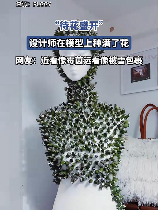 设计师在模型上种满了花,近看像霉菌远看像被雪包裹