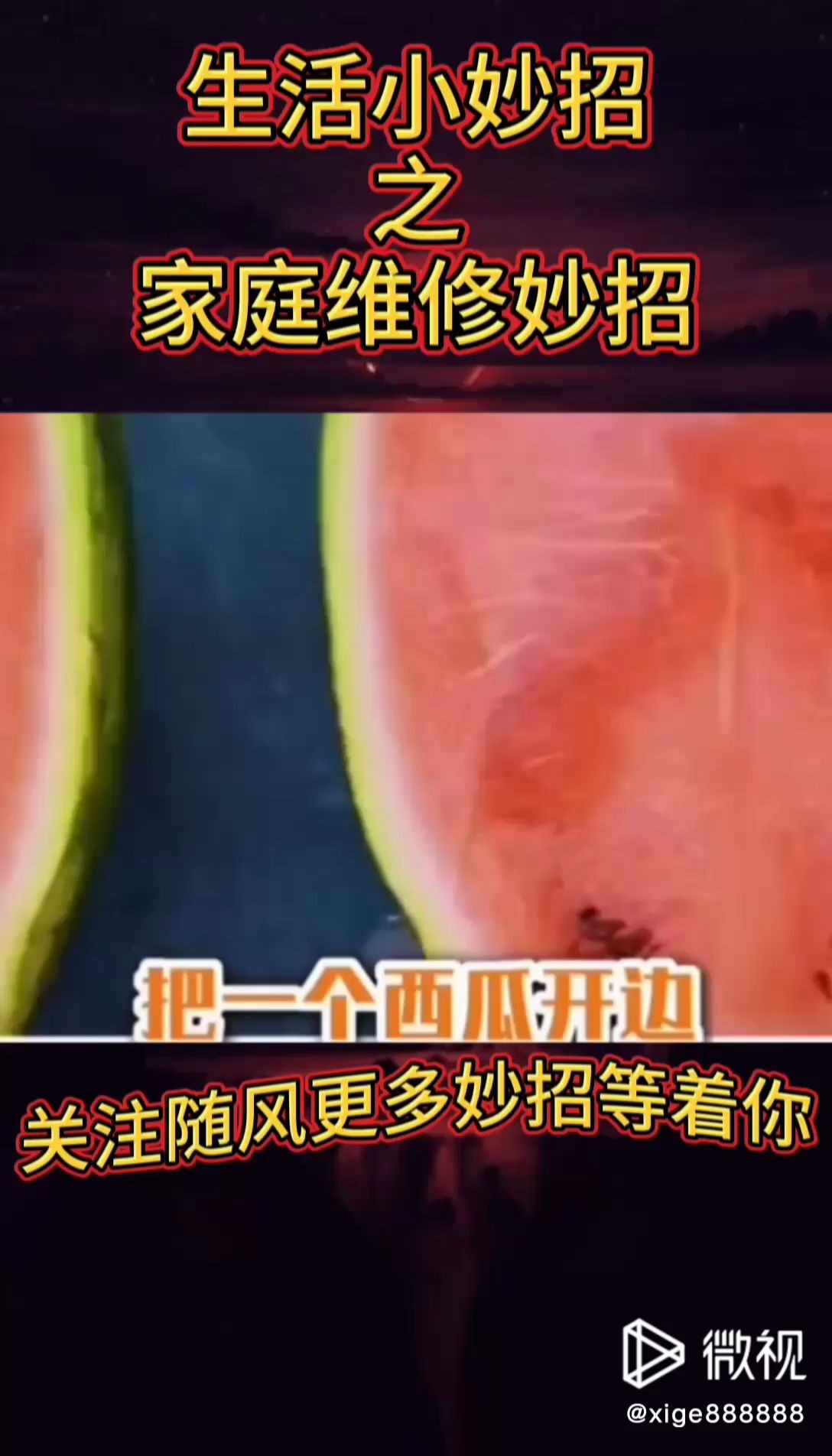 生活小妙招视频合集