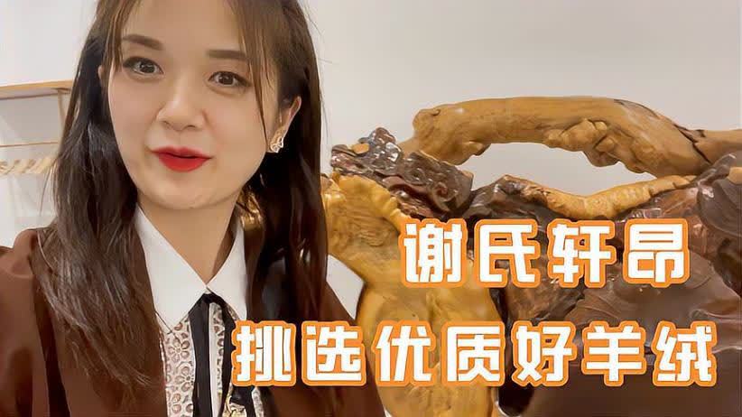 来谢总公司挑选优质山羊绒,看到谢总私藏楠木有点小激动