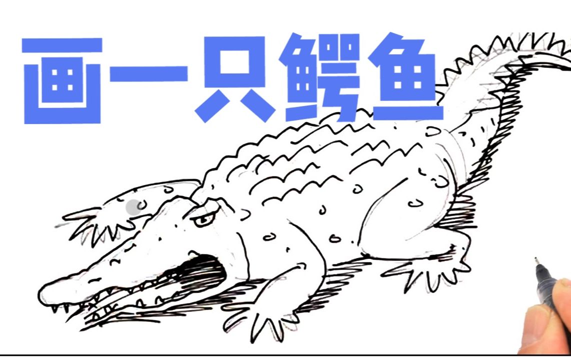 【教你速学简笔画】3分钟画一只卡通鳄鱼