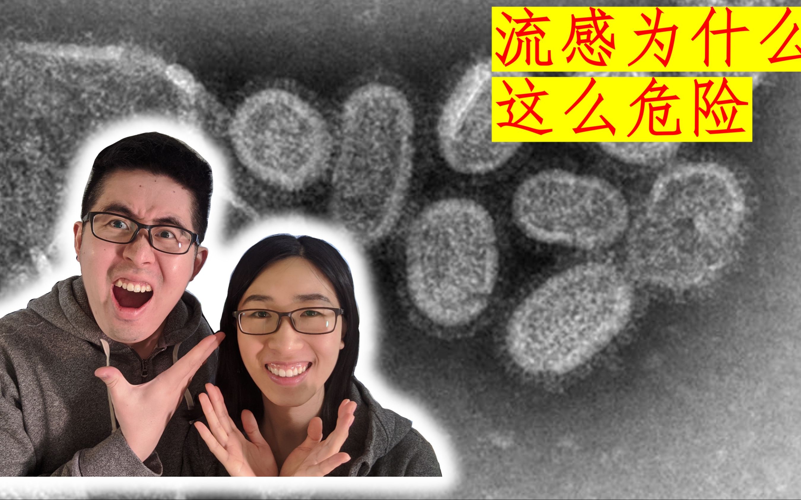 流感为什么这么危险 | 是什么导致了人们得肺炎 世界每年65万人死于...