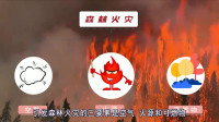 气象灾害防御——森林防火