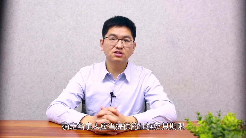 新民诉法举证期限的具体内容是什么