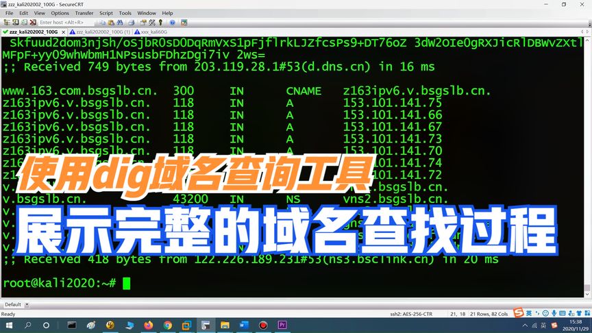 使用dig工具,为您展示从根服务器查询域名的全流程,直观明了