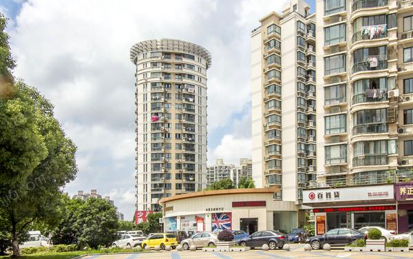 我看过的丽都成品一套跃层结构住宅