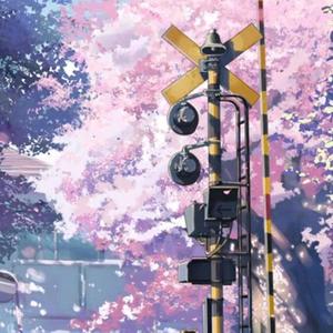 君的剪映 