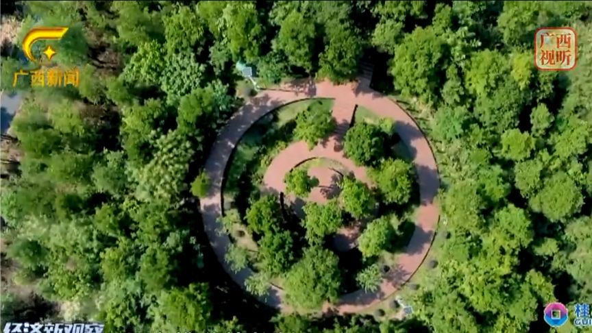 玉林容县:全面推行林长制 筑牢绿色发展底色