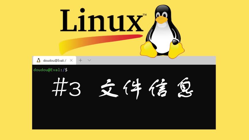 Linux新手教程 ,每天一个Linux小知识, 认识Linux文件信息