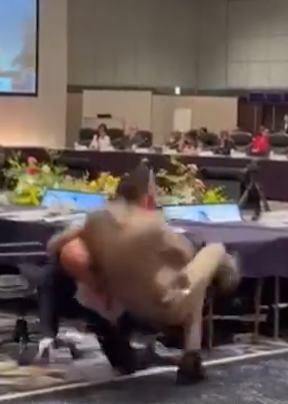 日本举办非洲开发会议,期间两国代表打起来了:一人猛抢标识牌,另一人...