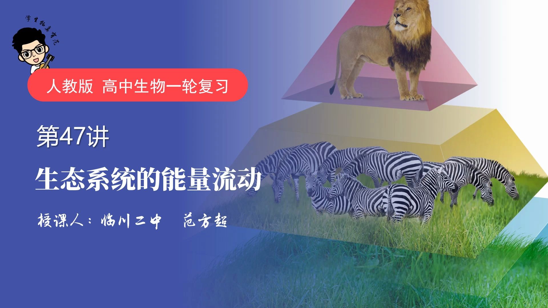 课件展示 第47讲 生态系统的能量流动