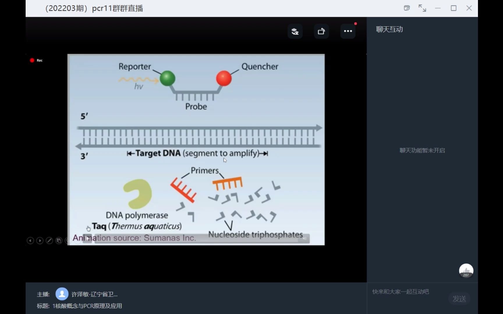 pcr-1 核酸 pcr原理及应用
