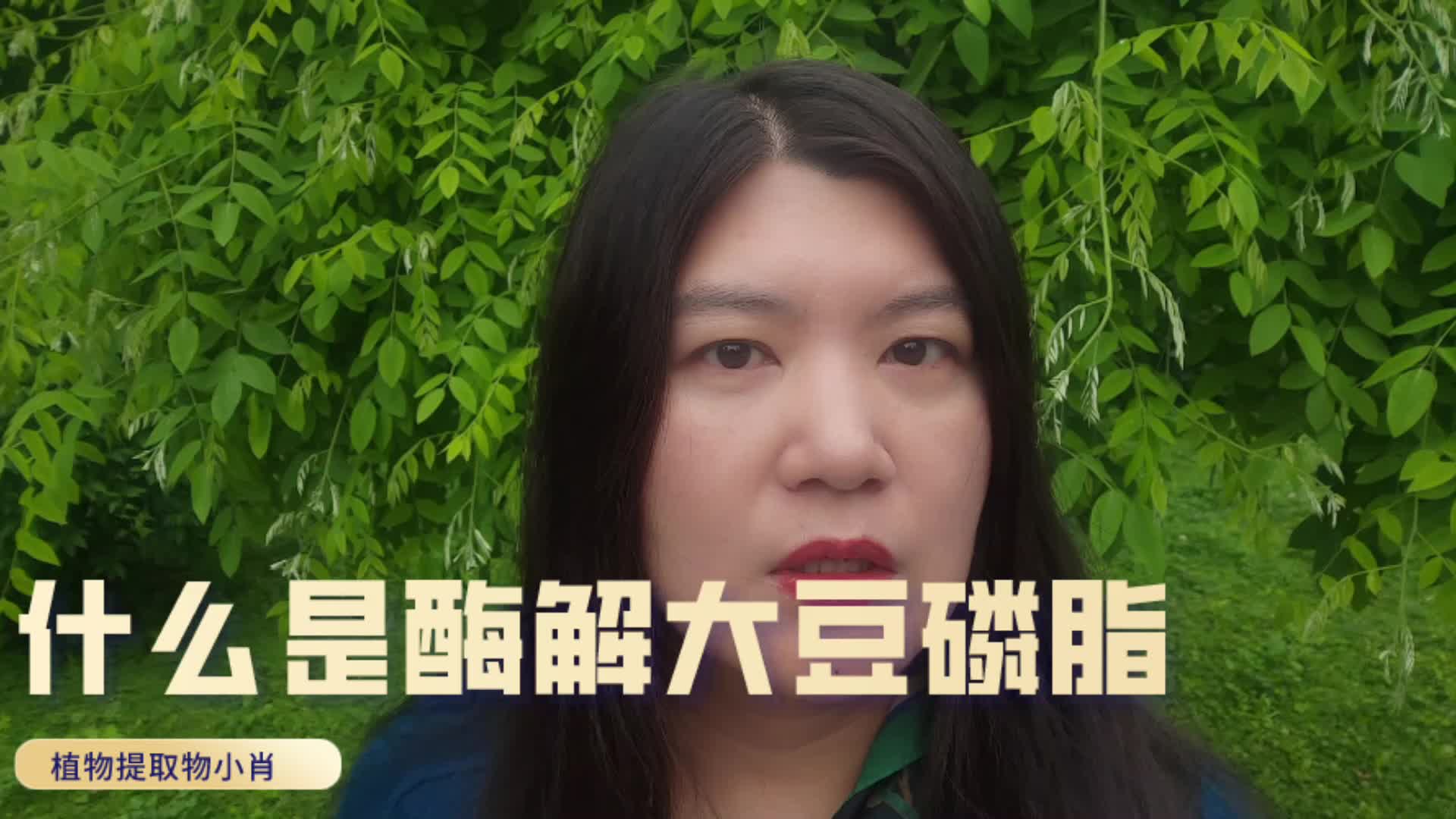 什么是酶解大豆磷脂提取物