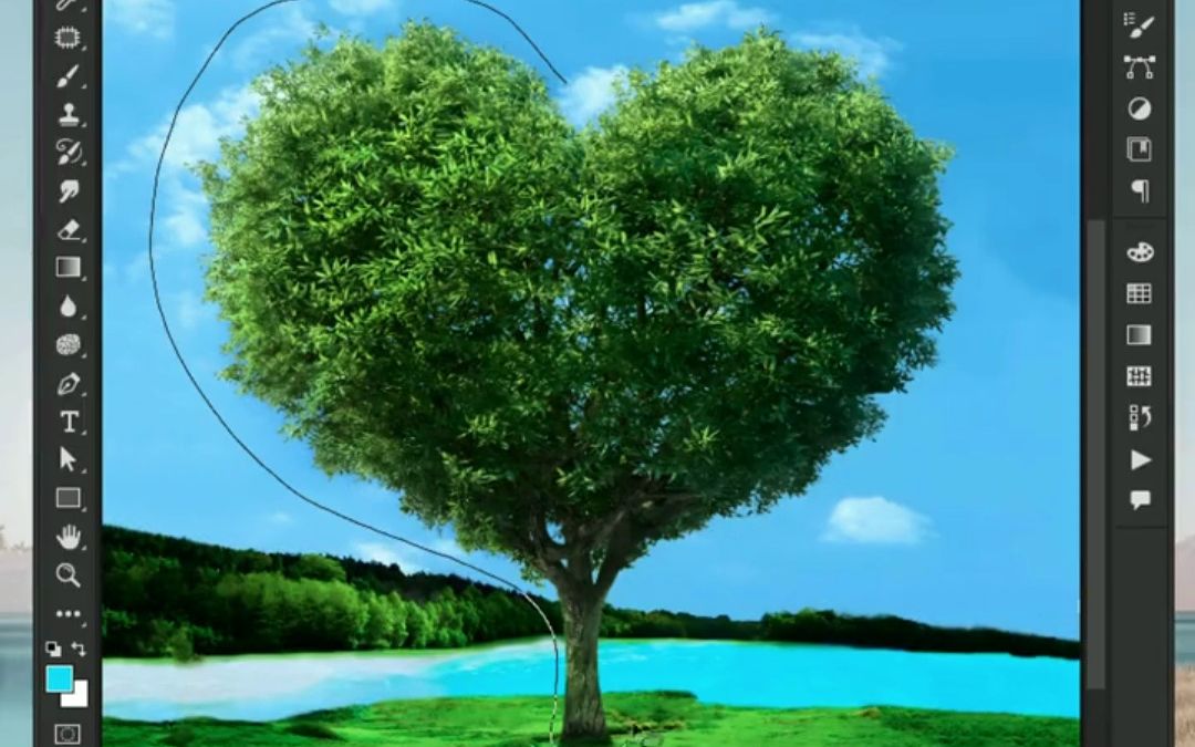 PS中细节满满的大树怎么抠呢,使用通道抠图技巧轻松抠取大树!