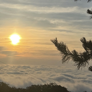 那个如太阳一般的男人 