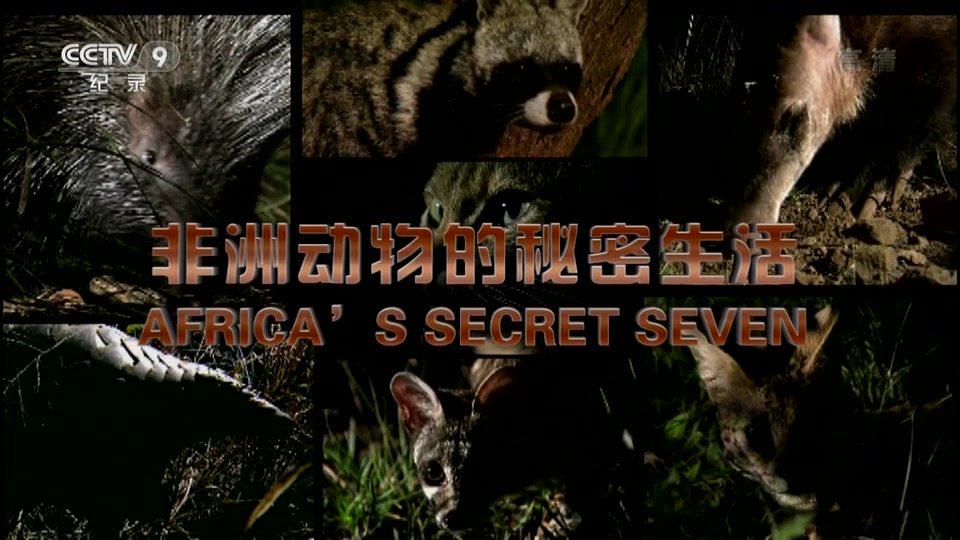 CCTV9高清 寰宇视野 20150726 非洲动物的秘密生活
