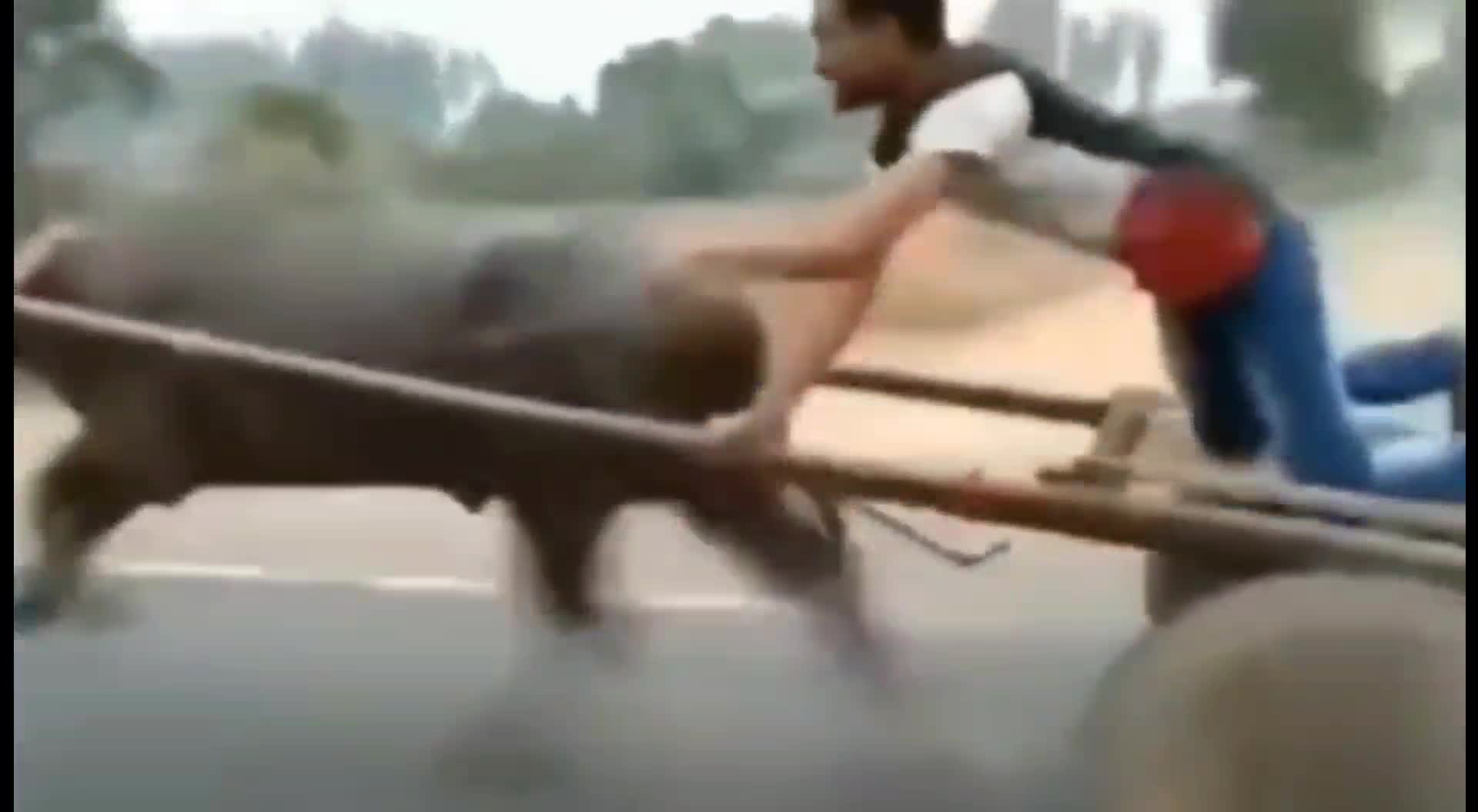 [捂脸][捂脸][捂脸]#咱家真有矿#