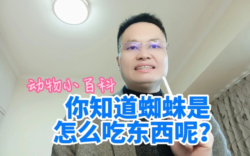 你知道蜘蛛是怎么吃东西呢?欢迎收看,肯定很多人不知道