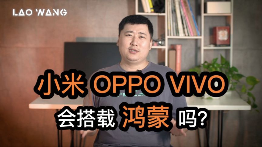 其他国产手机什么时候能装鸿蒙,能适配鸿蒙?
