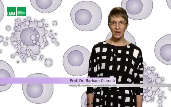 【慕尼黑大学】程序性细胞死亡课程