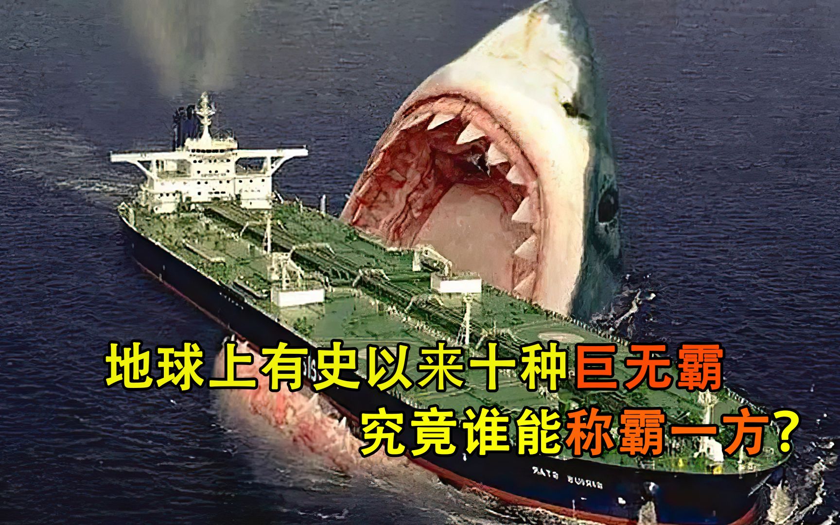 世界上十种体型巨大的动物,曾经称都能霸一方,但第一种会被人类吃...
