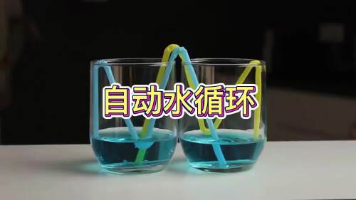 自动水循环你学会了吗
