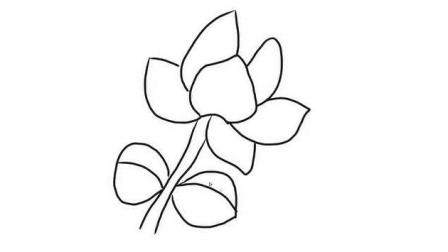 如何画一朵漂亮的茉莉花幼儿亲子简笔画