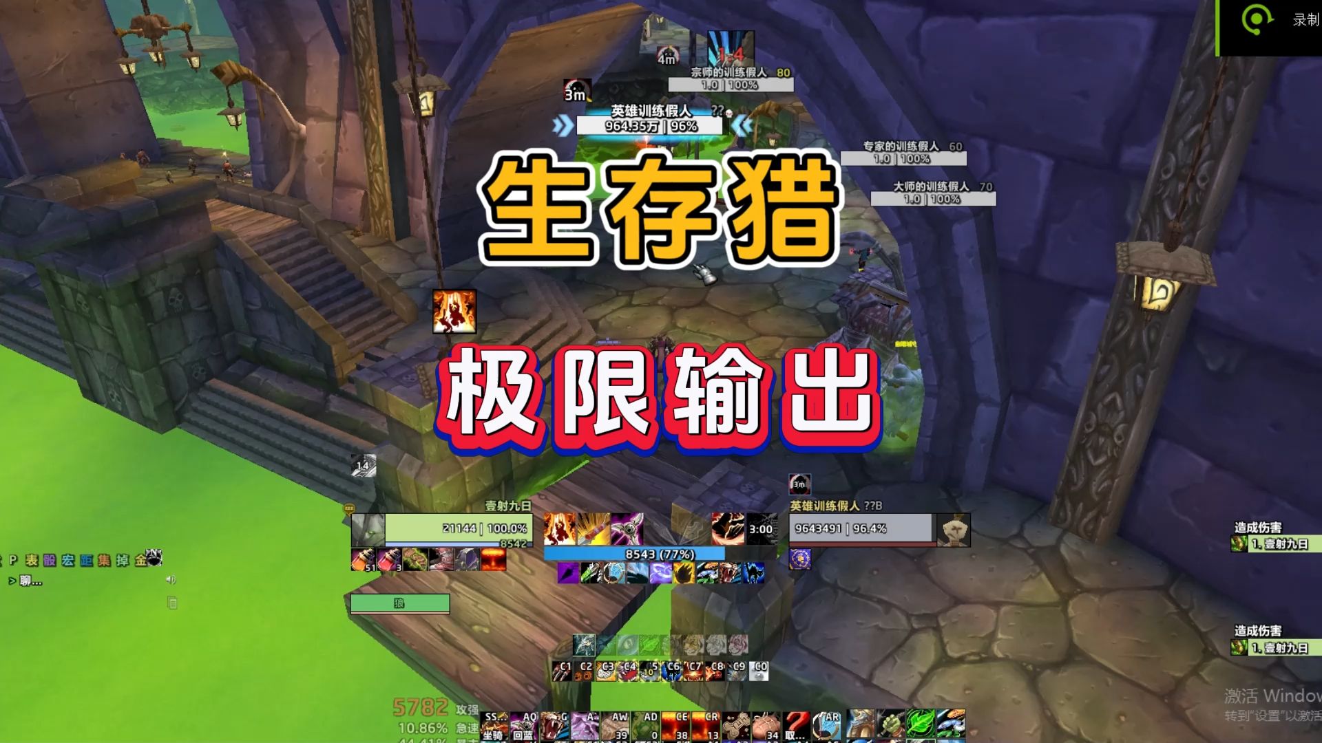 魔兽世界怀旧服 wlk 生存猎 极限输出天赋 配合 光环舞 打破蓝量限制 ...