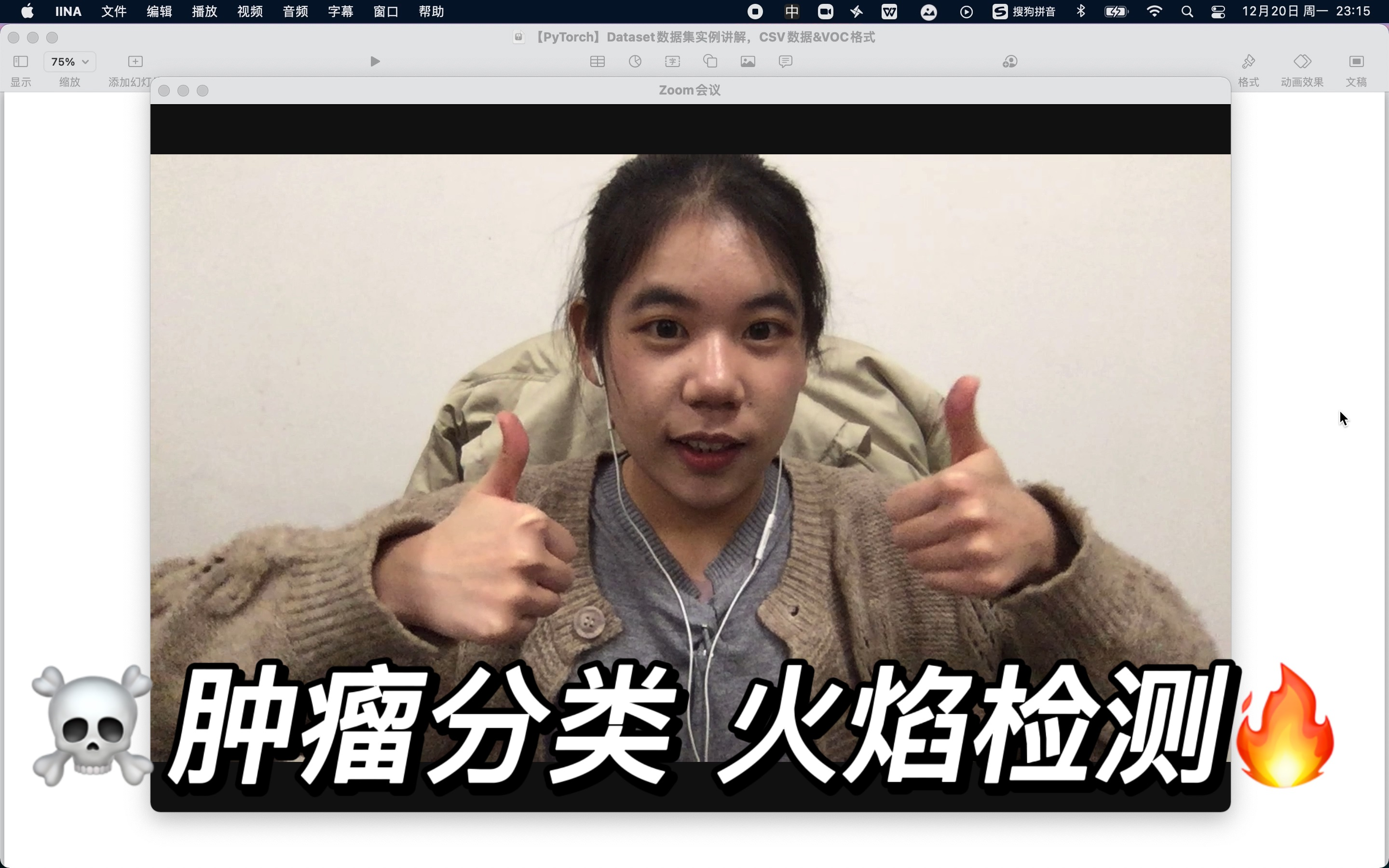 【PyTorch】Dataset数据集实例讲解,CSV数据&VOC格式