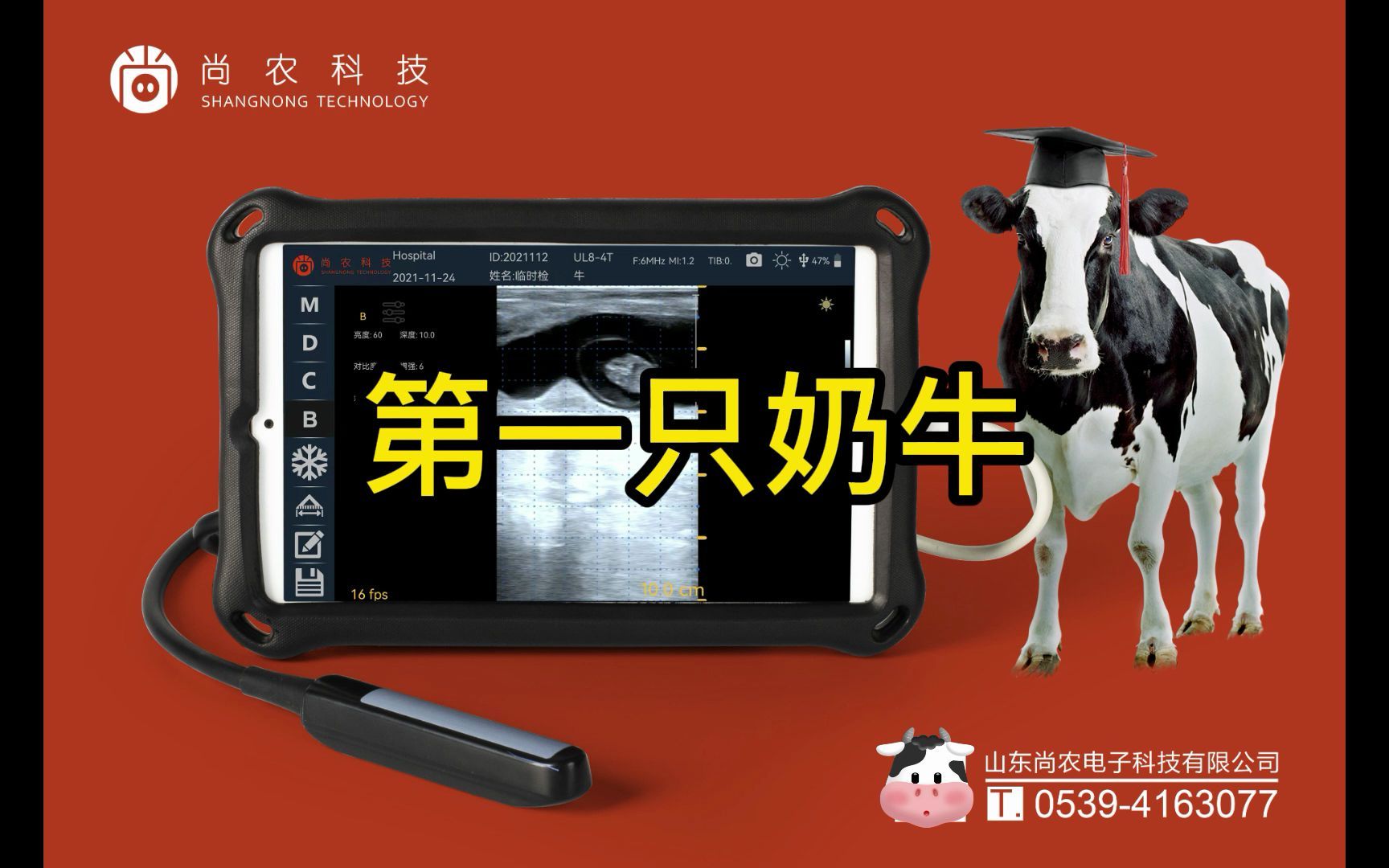 牛用B超操作实测视频