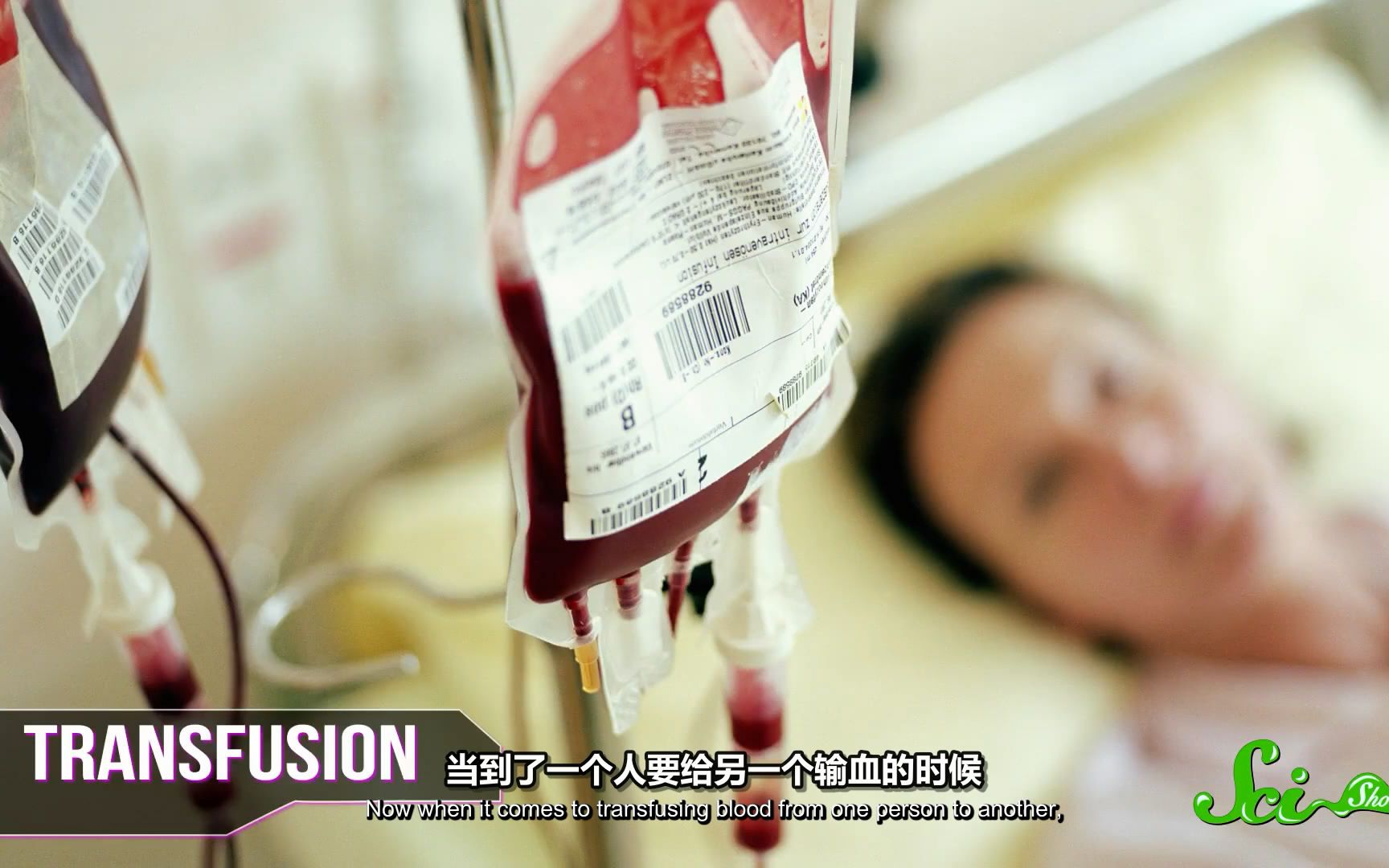 【科普】血型是什么?为什么熊猫血难适配血型呢?(SciShow)(双语字幕)