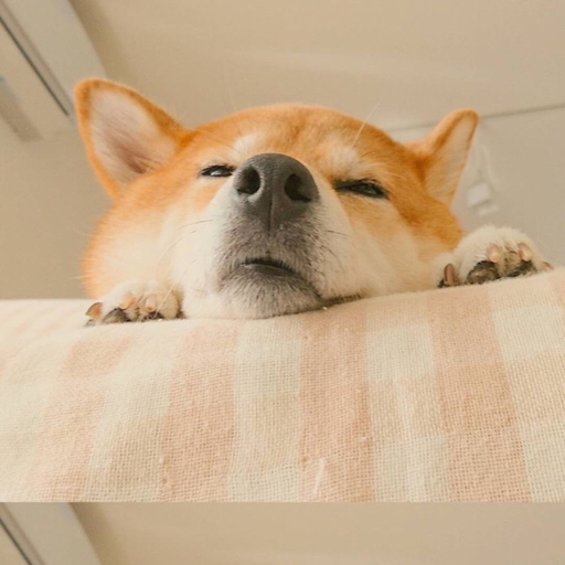 如果生活不如意 