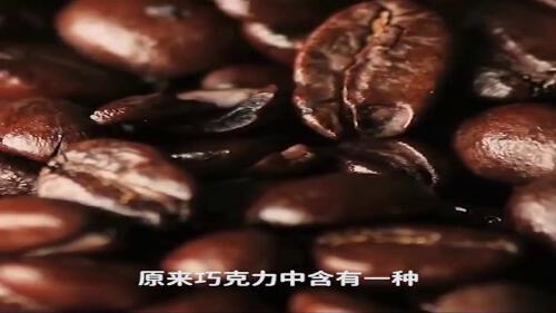 家里常见的食品,狗狗吃了会中毒?