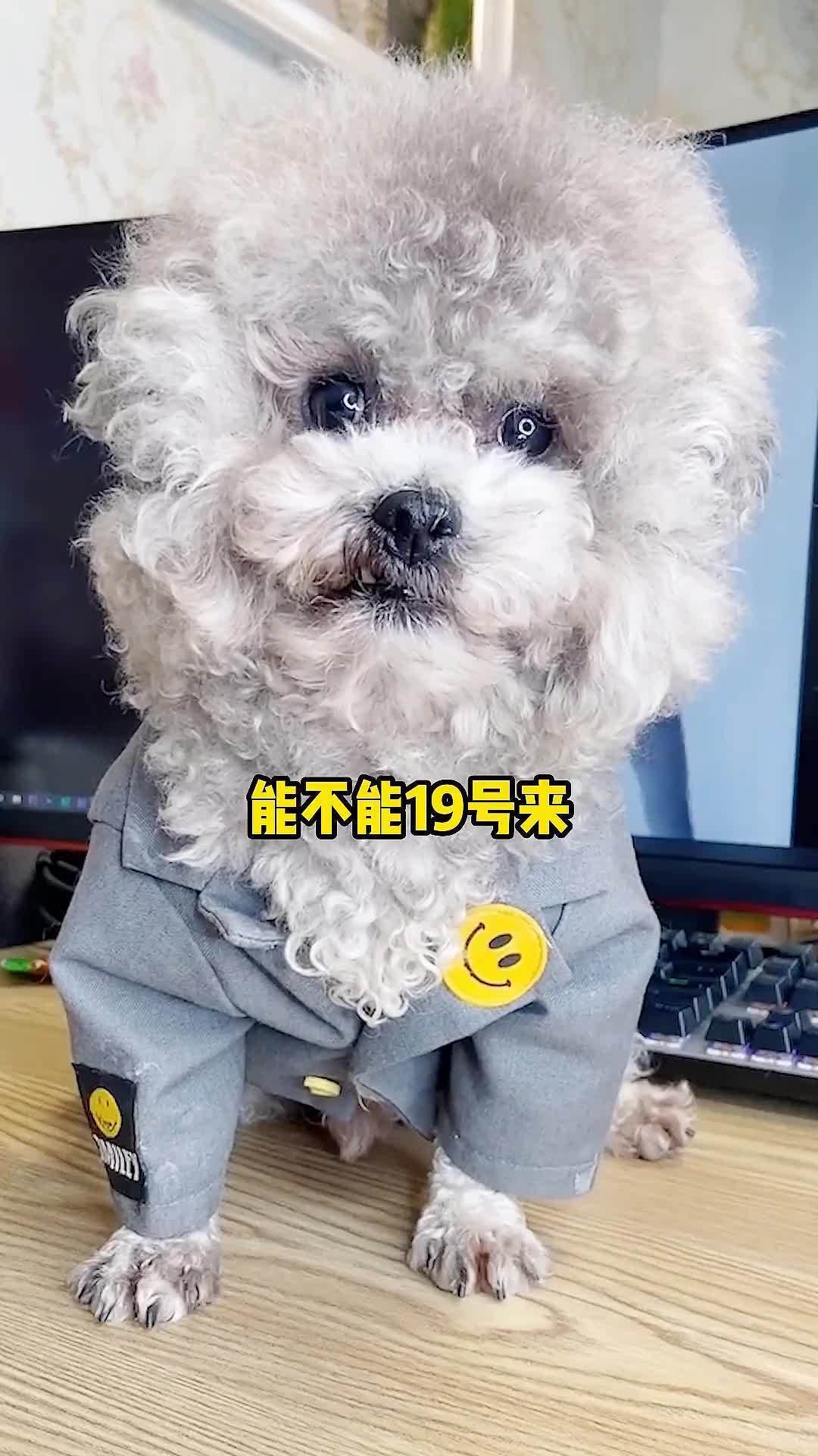 听说小行星打算撞地球?#小行星真的会撞击地球吗 #内容过于真实 #...