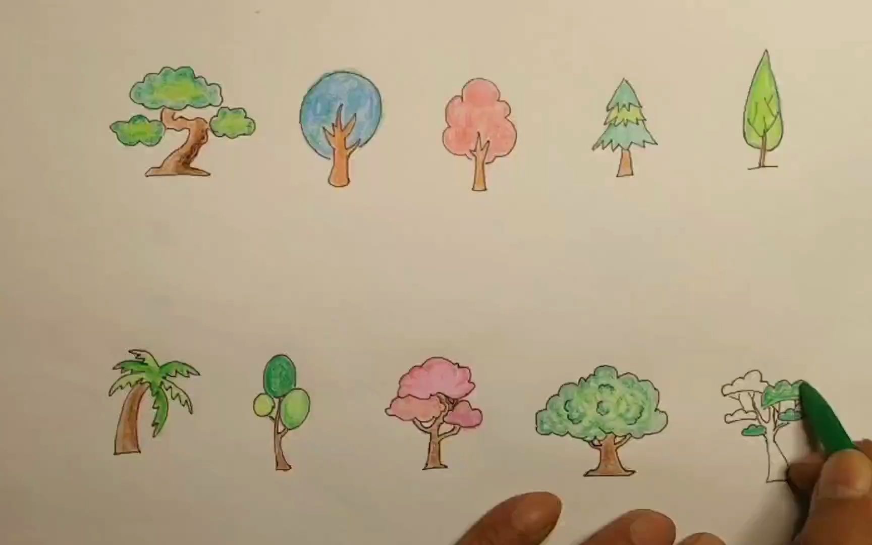 简笔画简单又好看的树