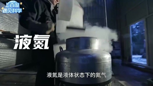 掉入液氮池还有活命机会吗?液氮冷冻背后真相揭秘