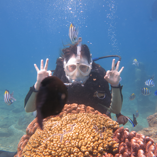 panpan的音乐盒娃娃 