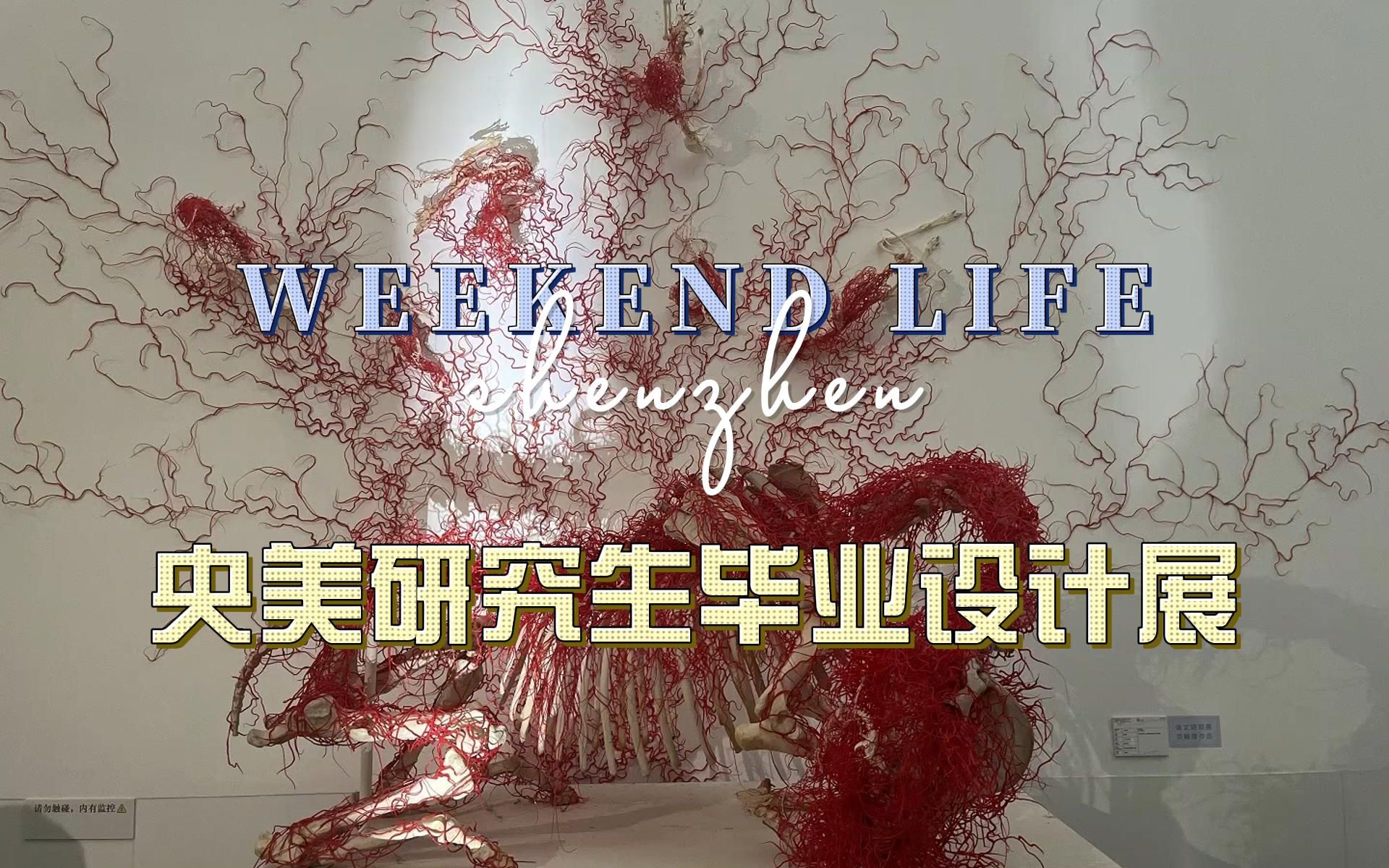 央美毕业展:内容过于震撼!比抽象还抽象