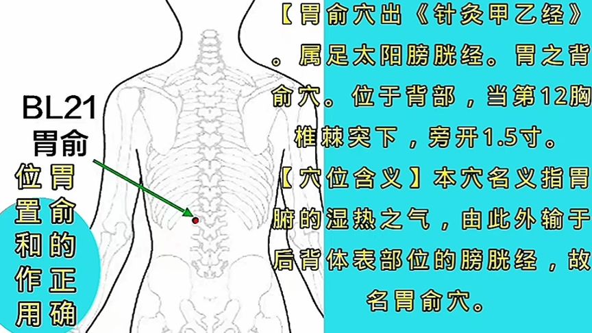 胃俞穴穴位篇神奇的穴位密码。每天学习一篇知识让人人成长一点