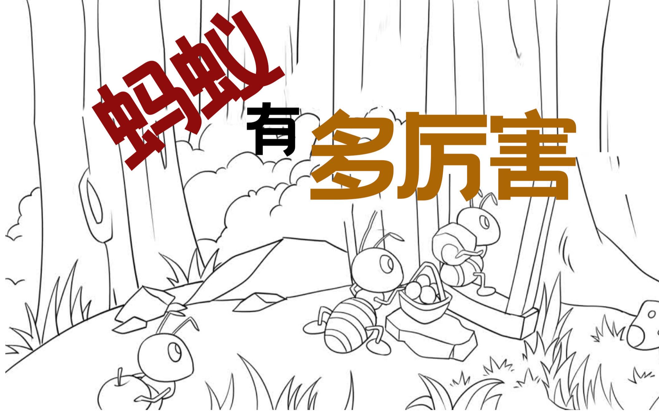 震惊!那些年我们数过的蚂蚁竟然这么厉害?!