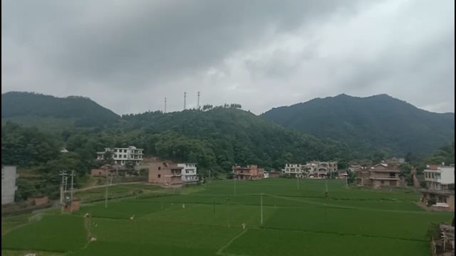 #我的美丽家乡稻田风景