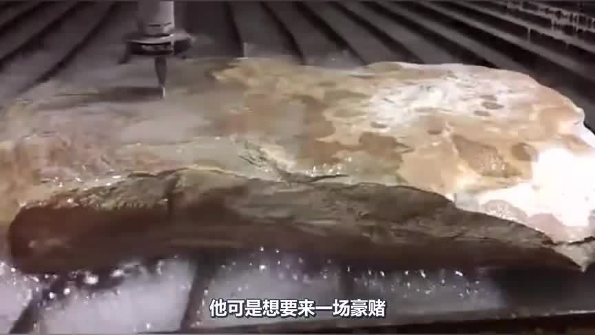 价值100万的恐龙牙齿,内部是怎样的结构?