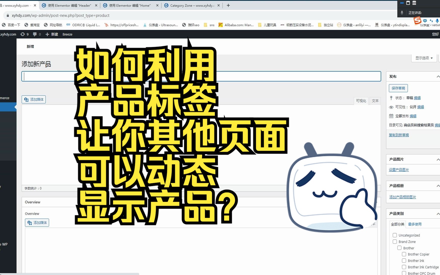 【WordPress外贸独立站建站教程】如何利用产品标签让你其他页面...