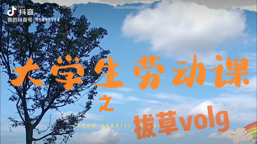 大学生劳动课拔草记录～大学生哪有不疯的ߤ