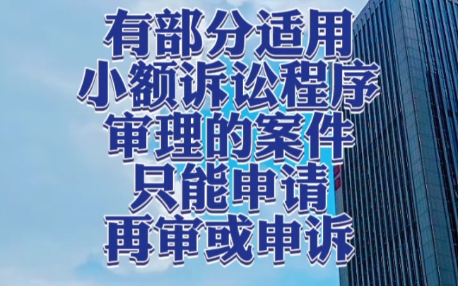 有部分适用小额诉讼程序审理的案件,只能申请再审或申诉