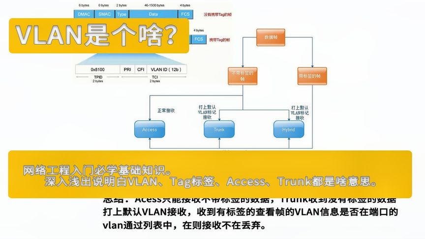 网络工程基础知识-VLAN的基本原理各种接口的作用