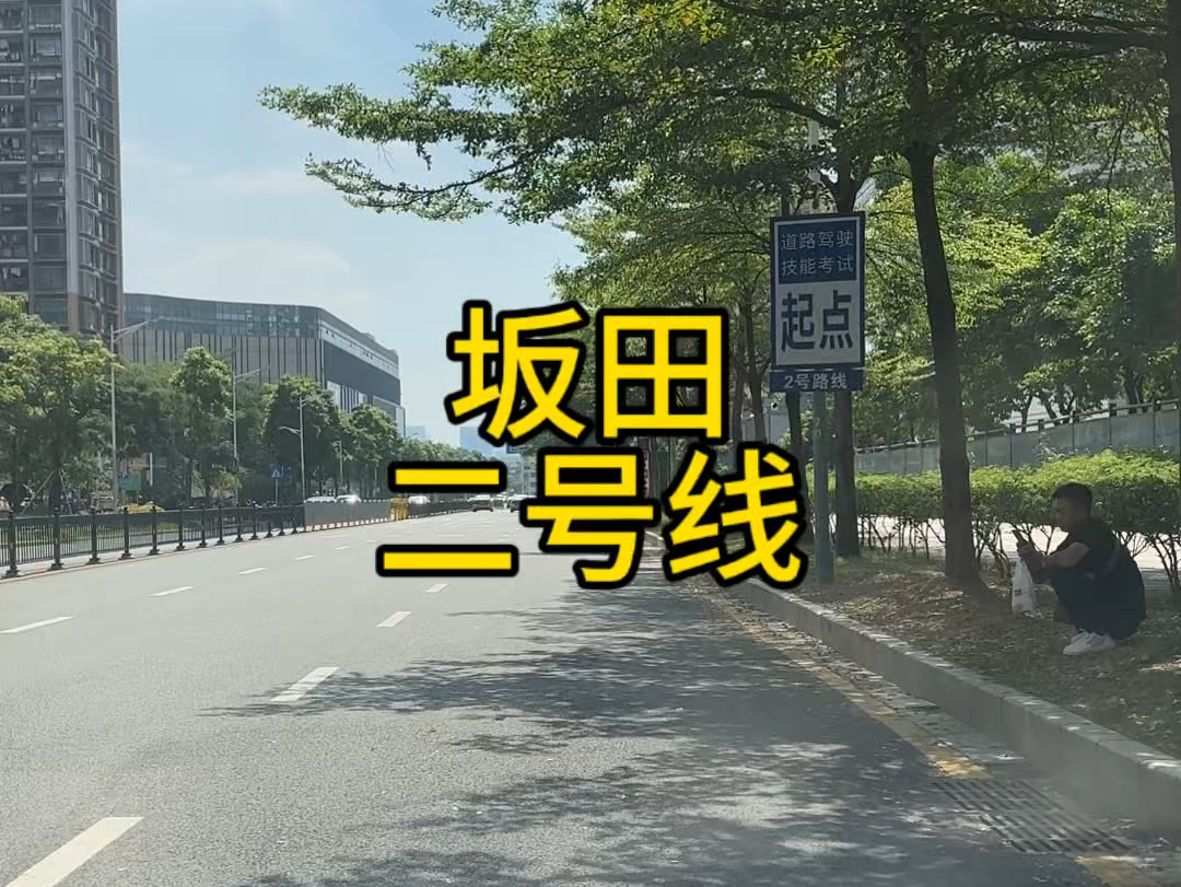 科目三考试秘籍