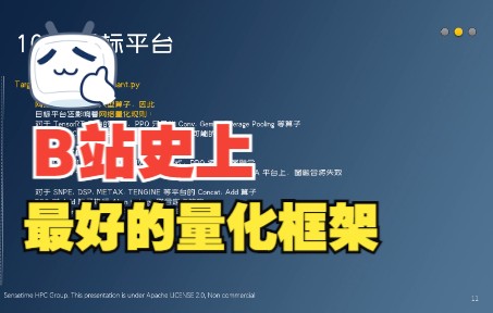 4. 目标平台与量化配置信息