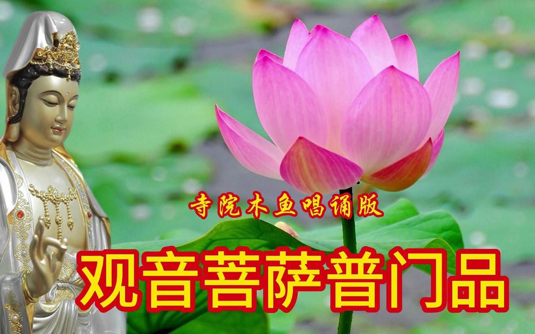 一首《观音菩萨普门品》特别好听,旋律优美,令人陶醉!为你带来喜乐平安